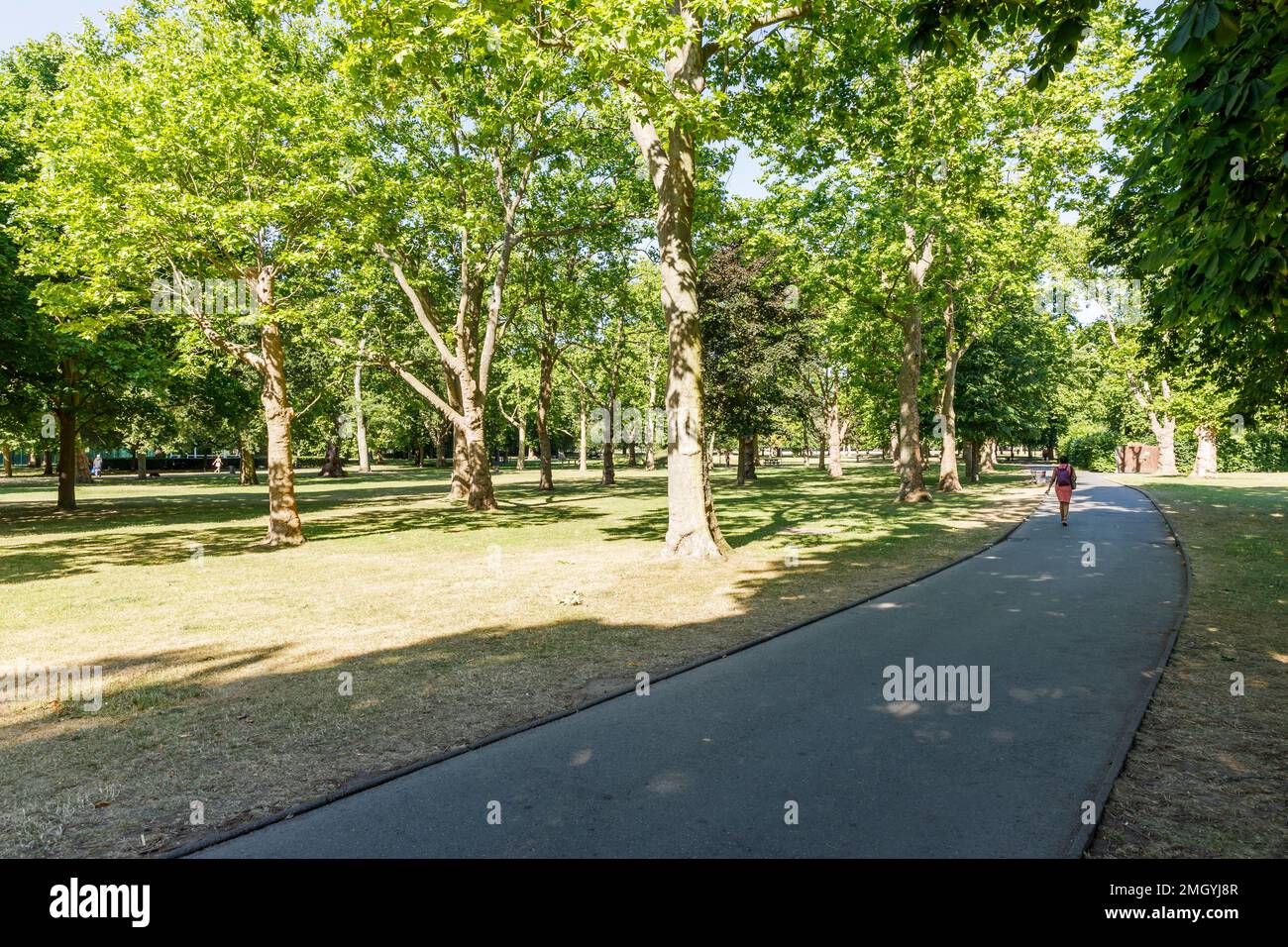 Forest Gate, Local Area Photography Stock Photo - Alamy
