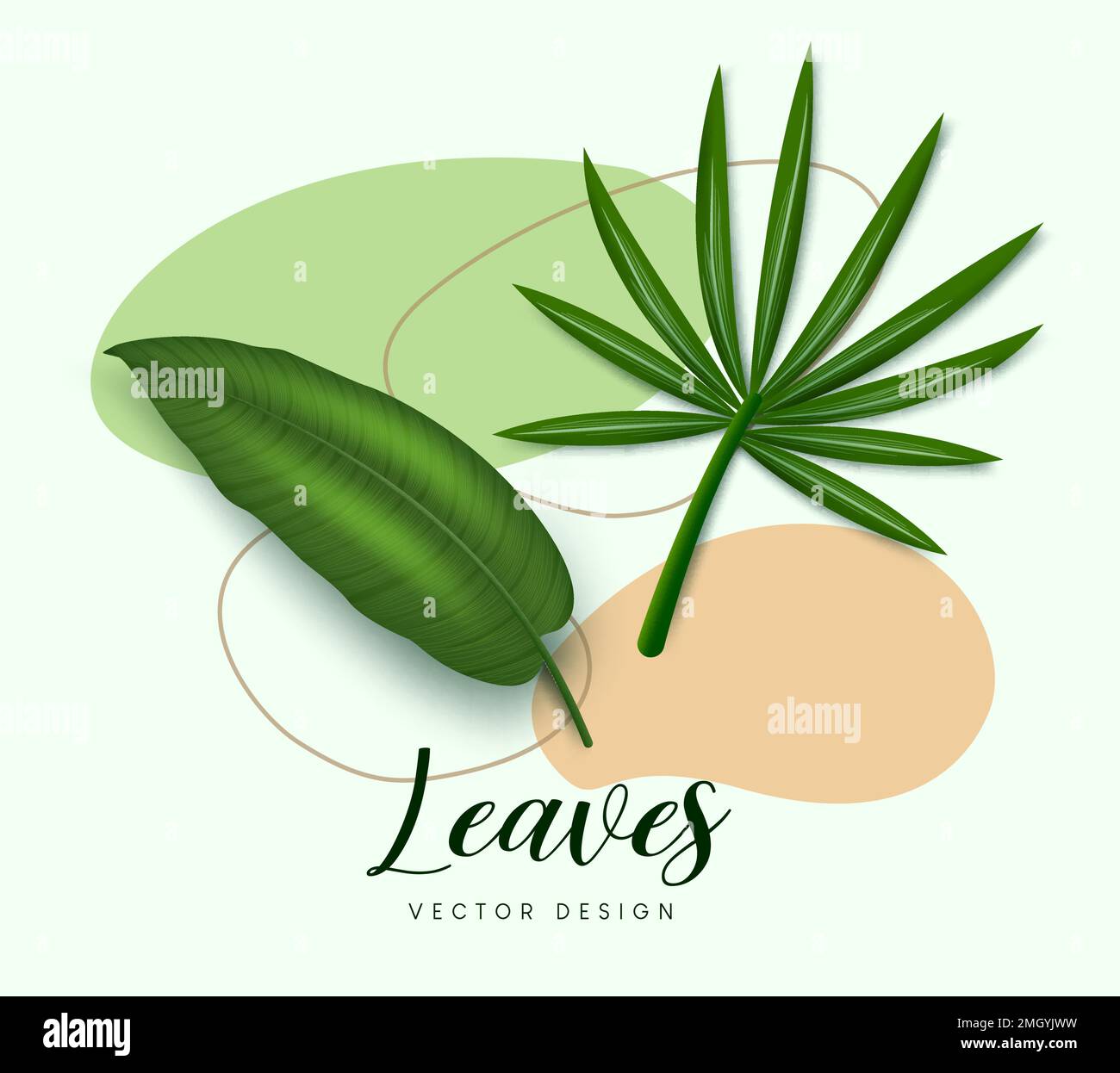 Leaves vector design. Leaves vector text in colorful abstract ...