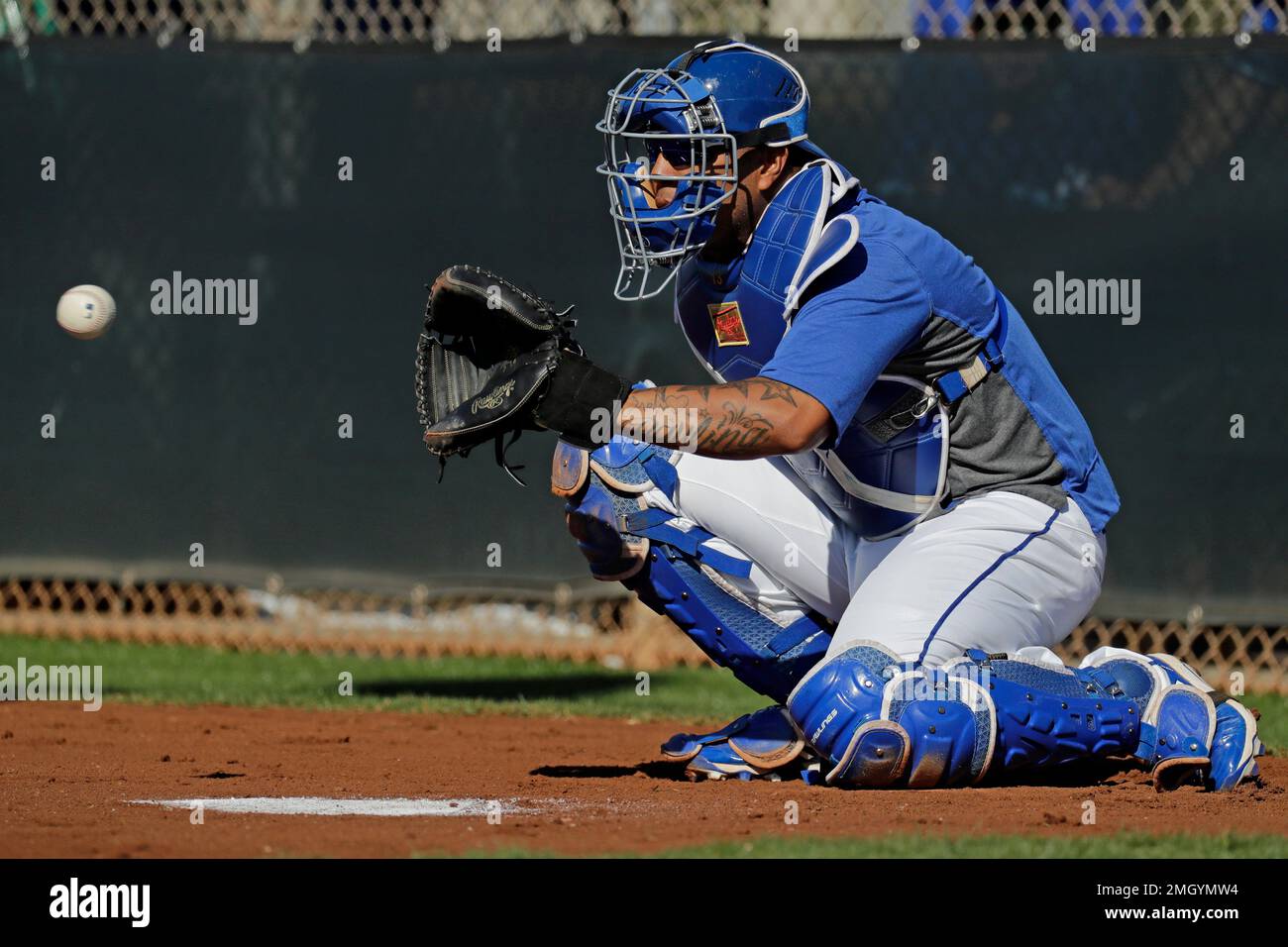 Kansas City Royals catcher Salvador Perez catches a ball during spring ...
