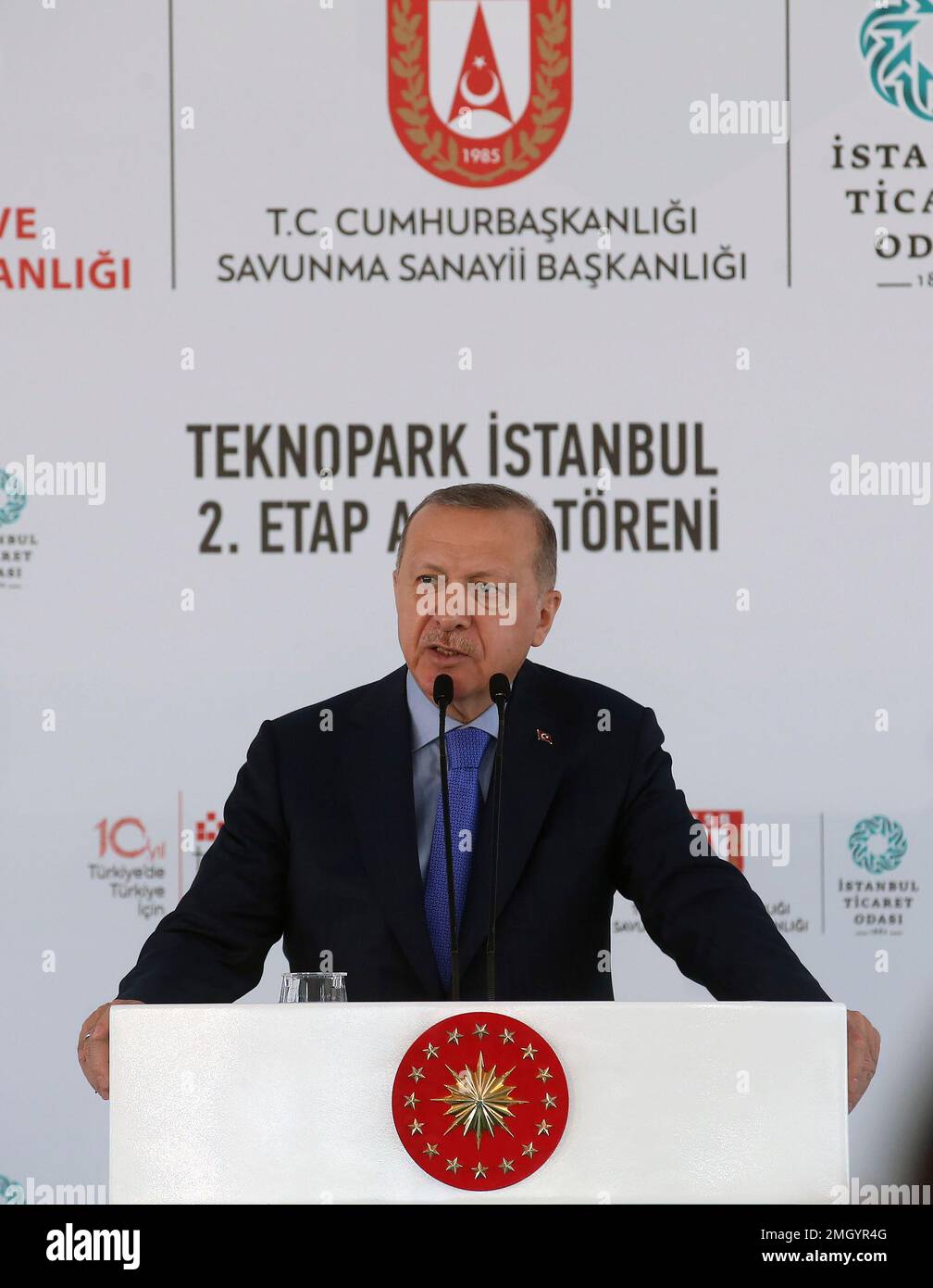 Turkey's President Recep Tayyip Erdogan speaks at a meeting in Istanbul ...
