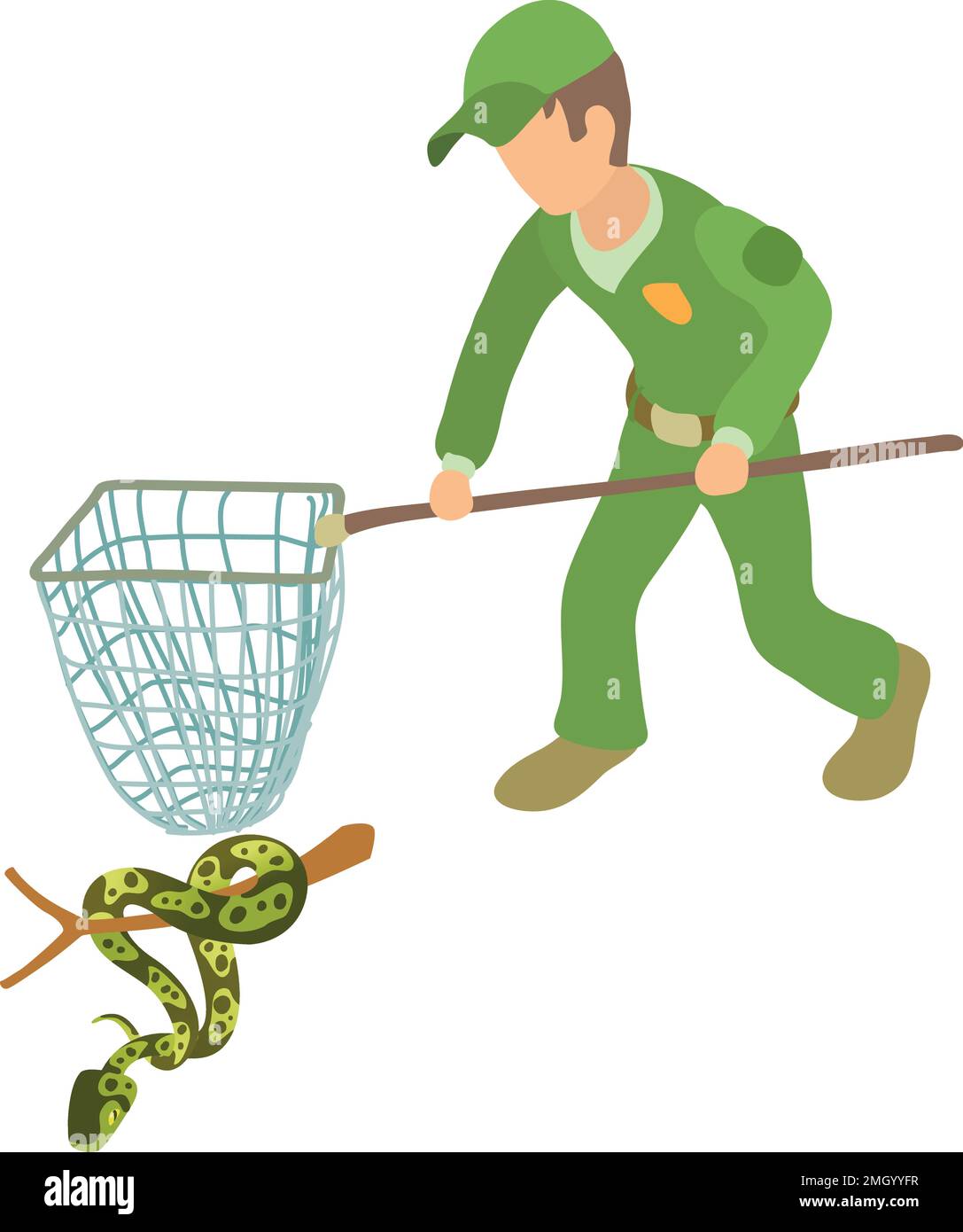 Green tree python and person Stock Vector Images - Alamy