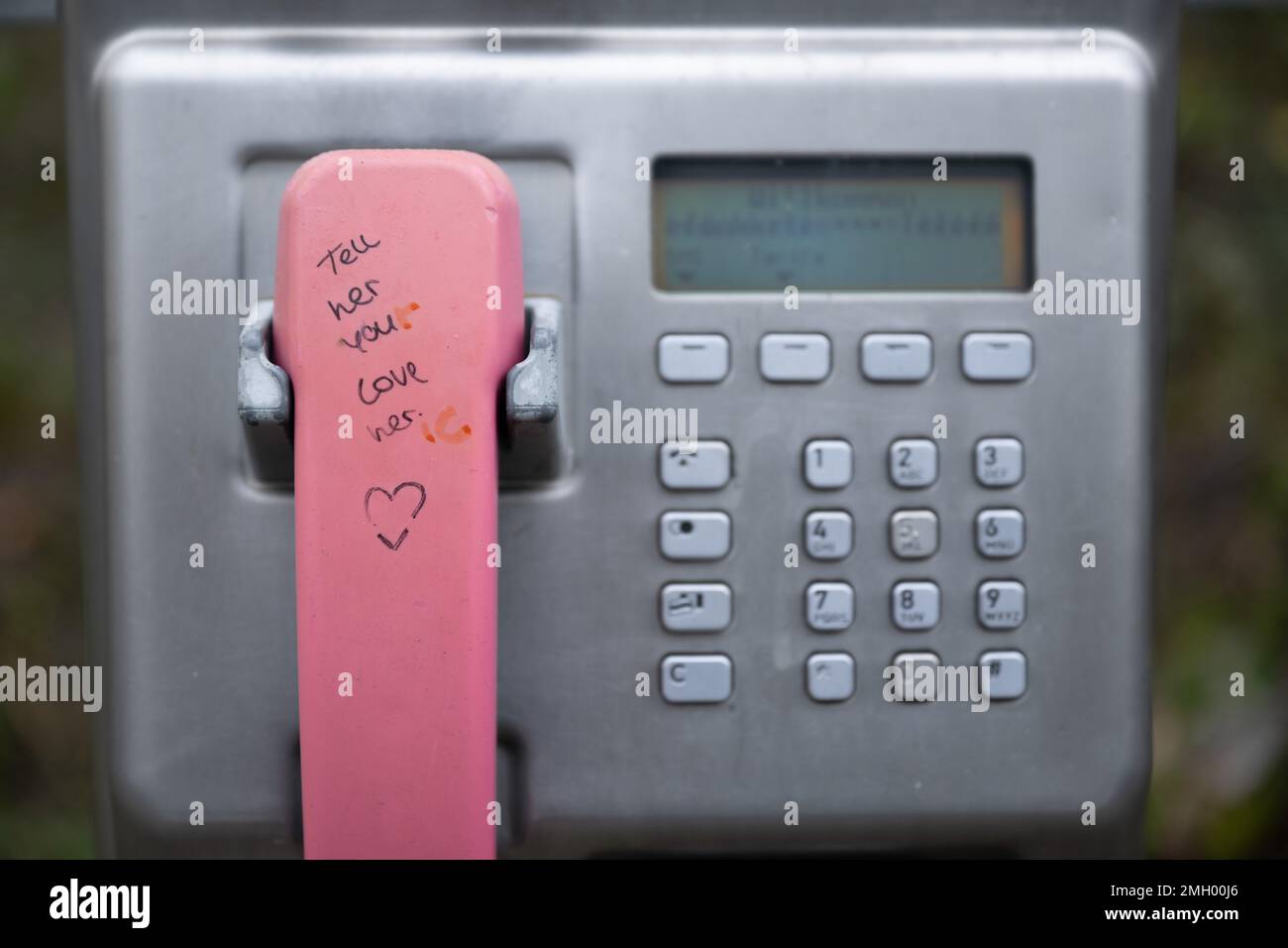 Dresden, Germany. 26th Jan, 2023. The words "Tell her you love her" are ...