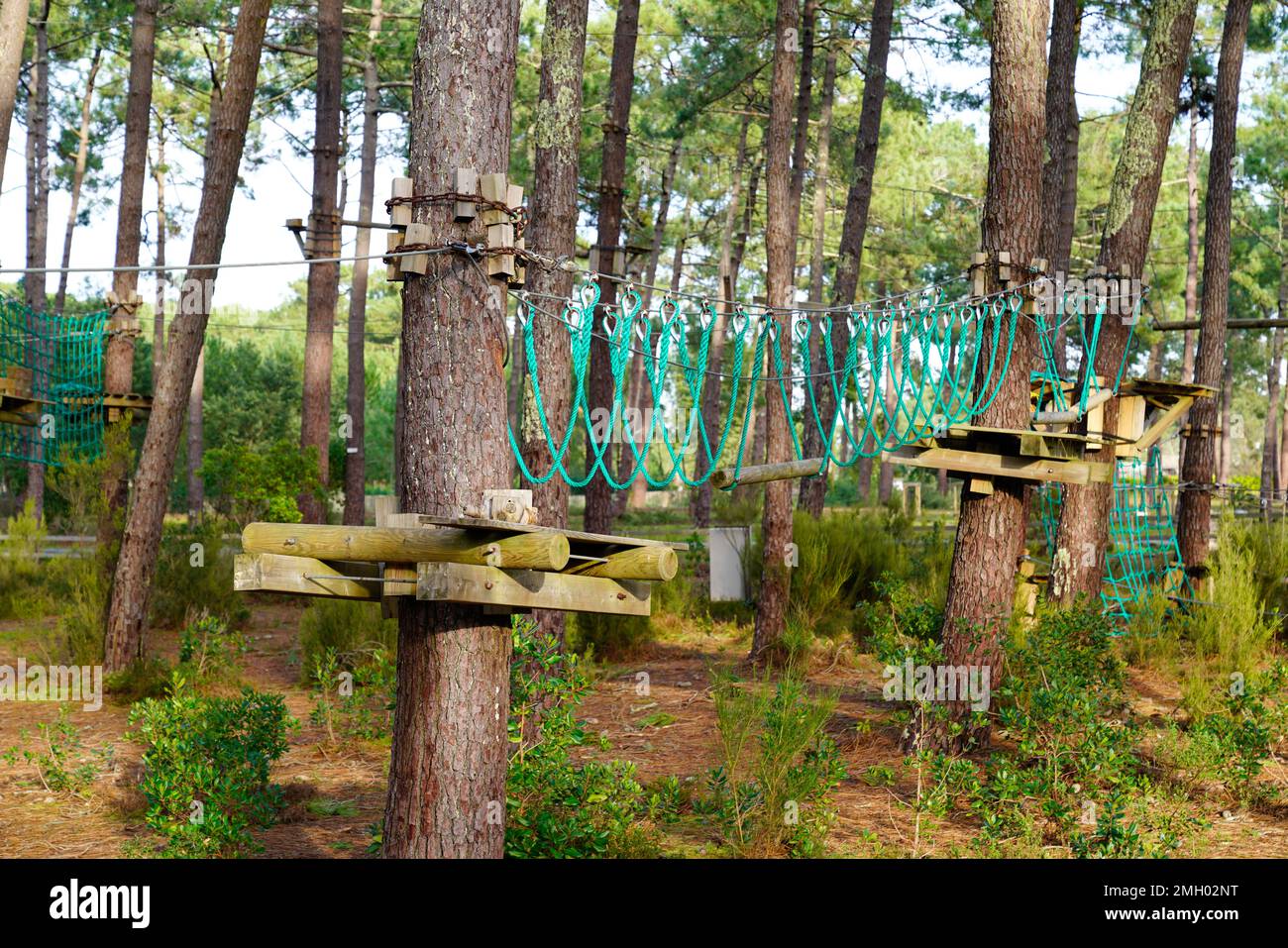 obstacle tree climbing course in adventure park Stock Photo - Alamy