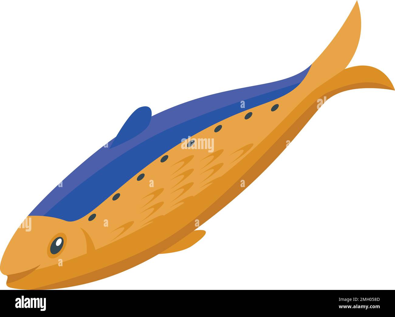 Pacific sardine icon isometric vector. Fish seafood. Oil food Stock ...