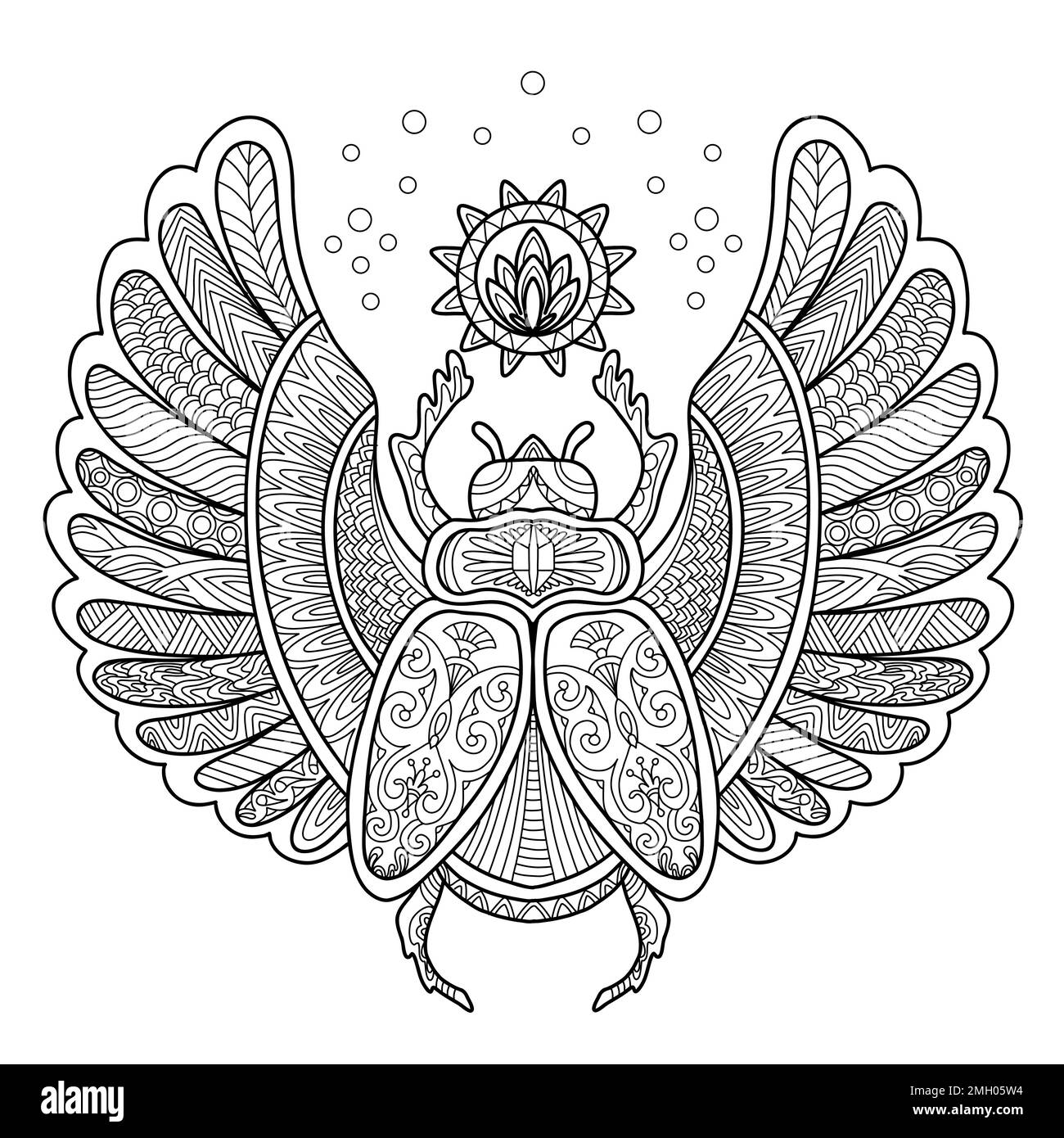 Scarab beetle coloring page hi-res stock photography and images - Alamy