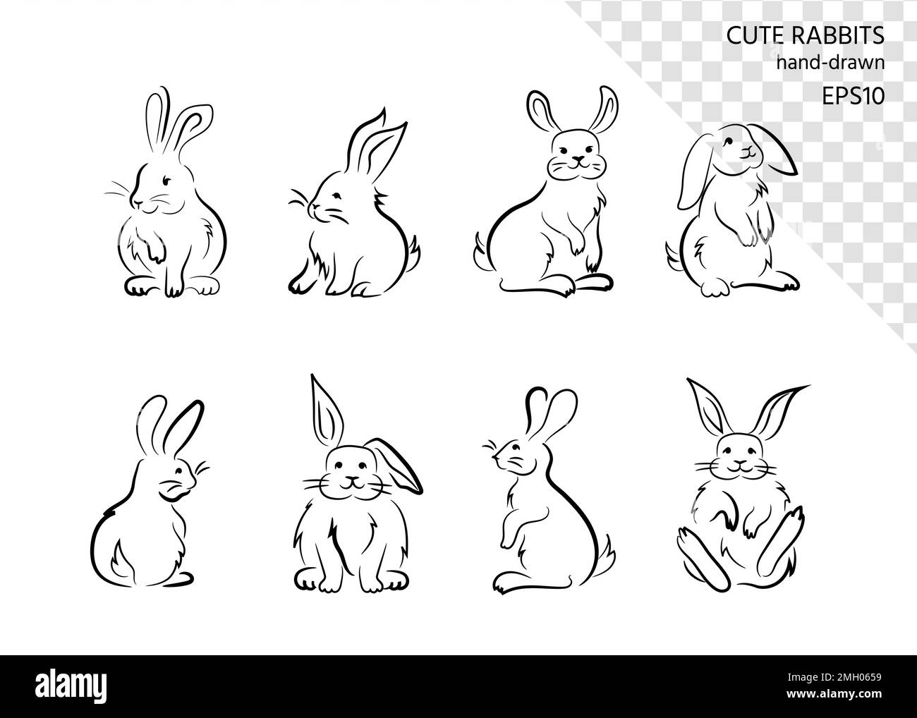 Funny fluffy rabbits, hand drawn image set Stock Vector Image & Art - Alamy