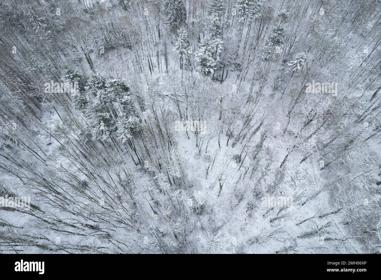 Wald von oben deutschland hi-res stock photography and images - Alamy