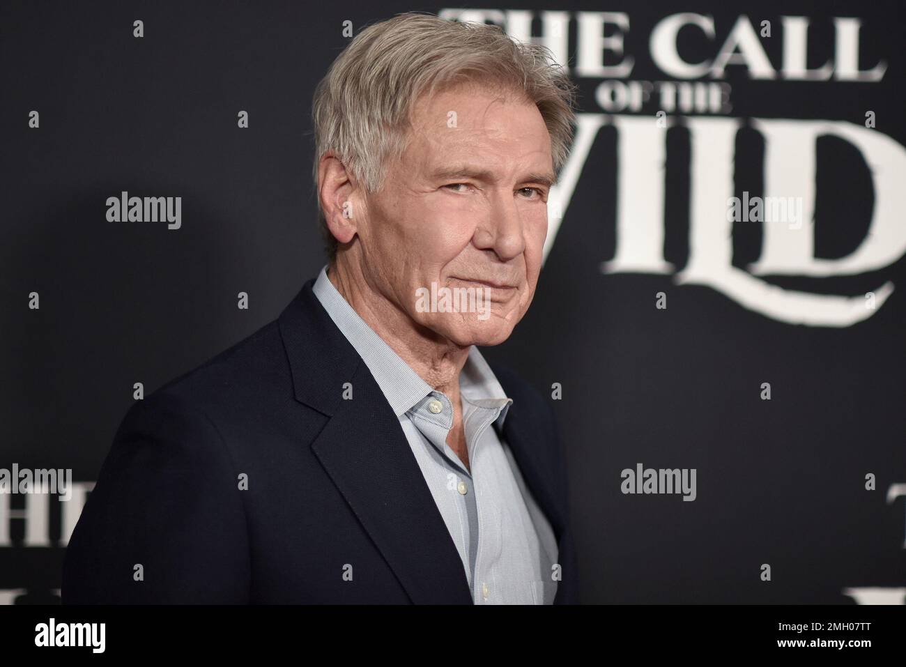 Harrison Ford attends the world premiere of "The Call of the Wild" at ...