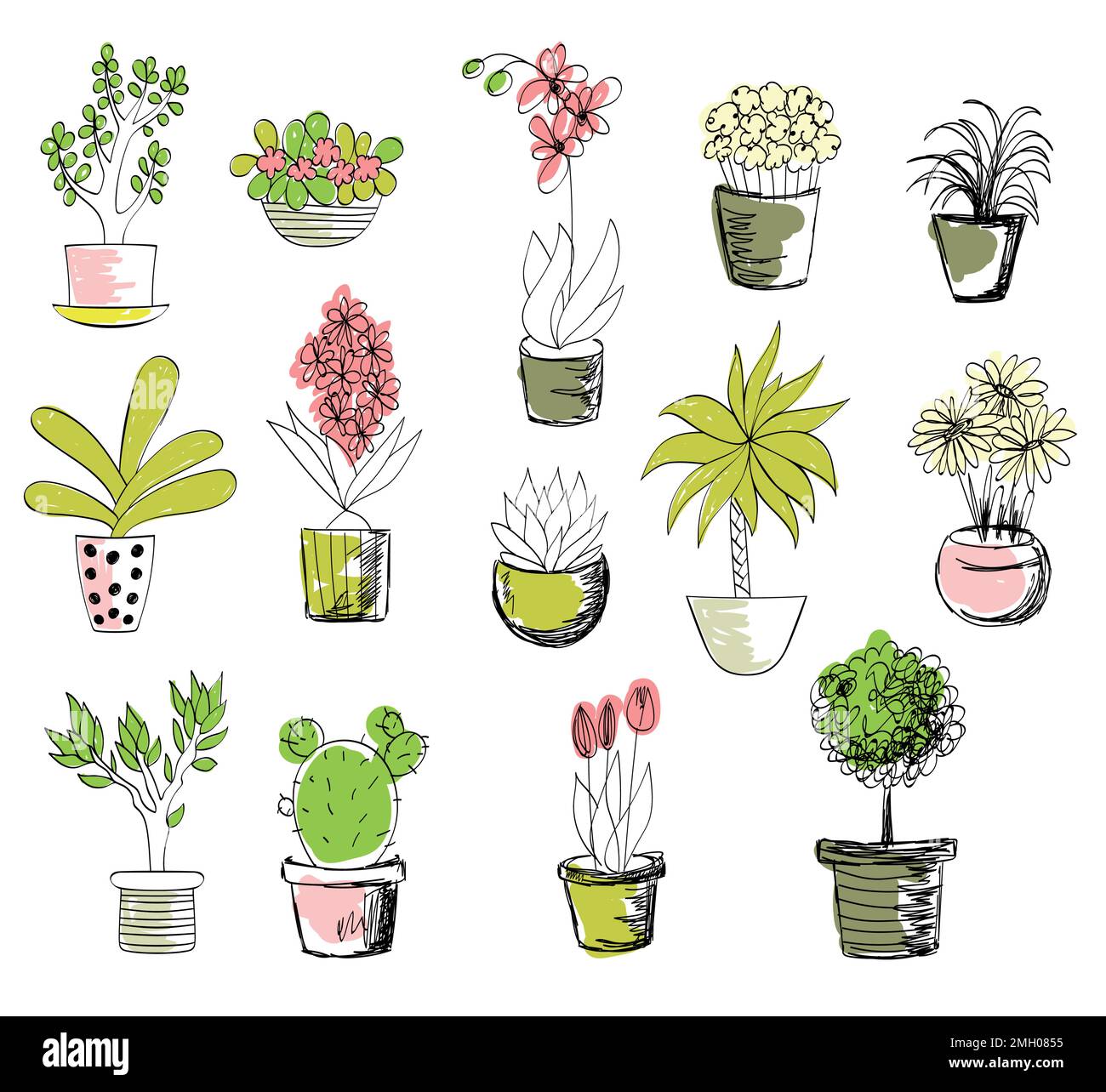 Mini cactus plants Stock Vector Images - Alamy