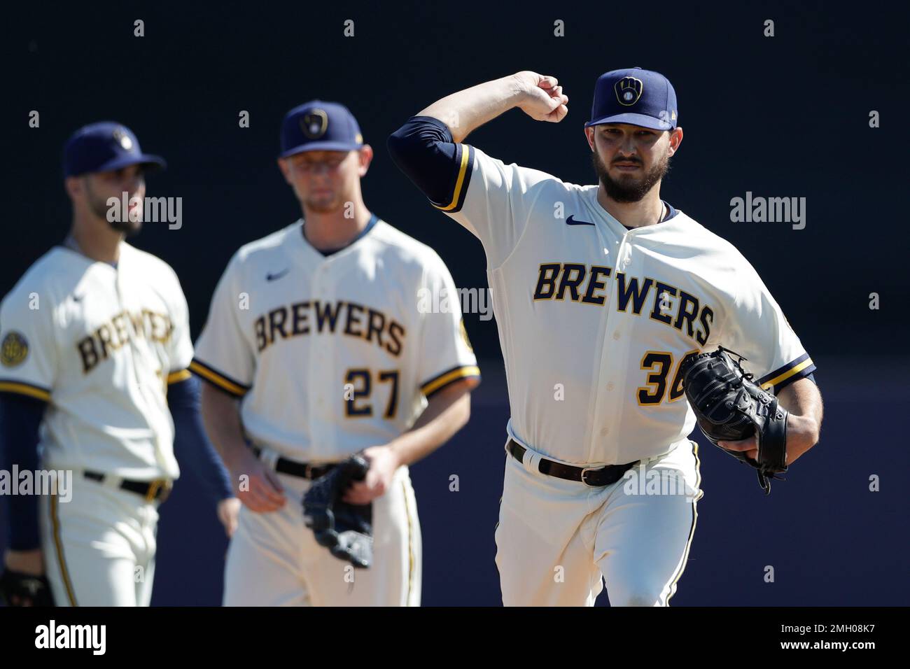 Milwaukee Brewers relief pitcher Deolis Guerra during spring training ...