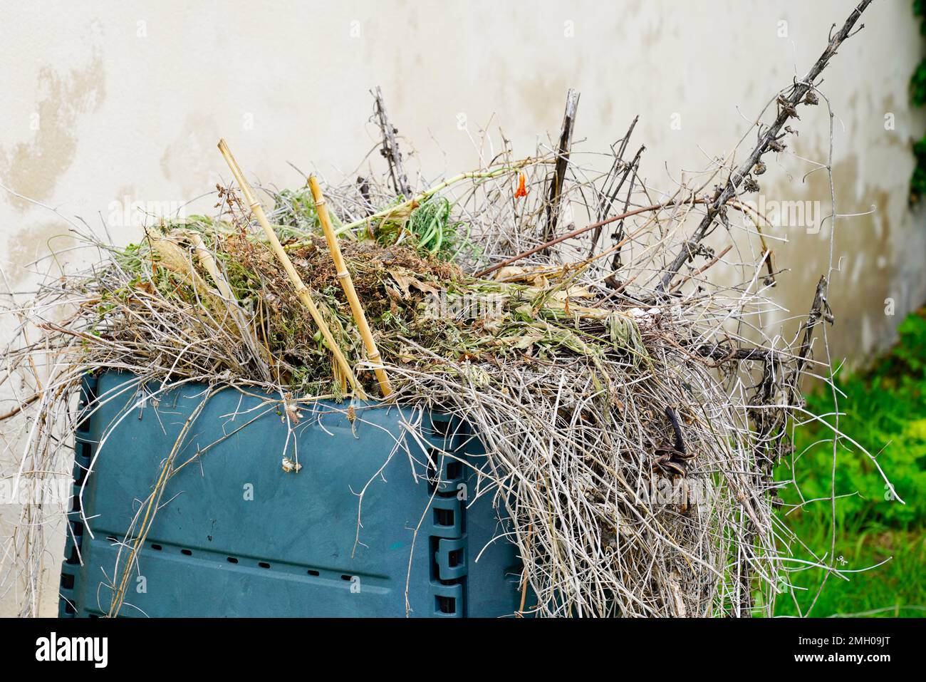 Compost plastic bin full in home garden Stock Photo - Alamy