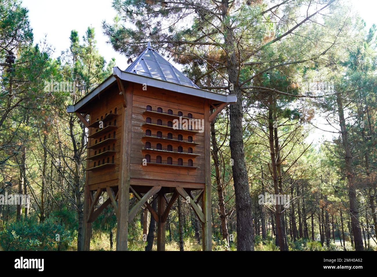 wooden dovecote on stilts for pigeon dove bird Stock Photo - Alamy