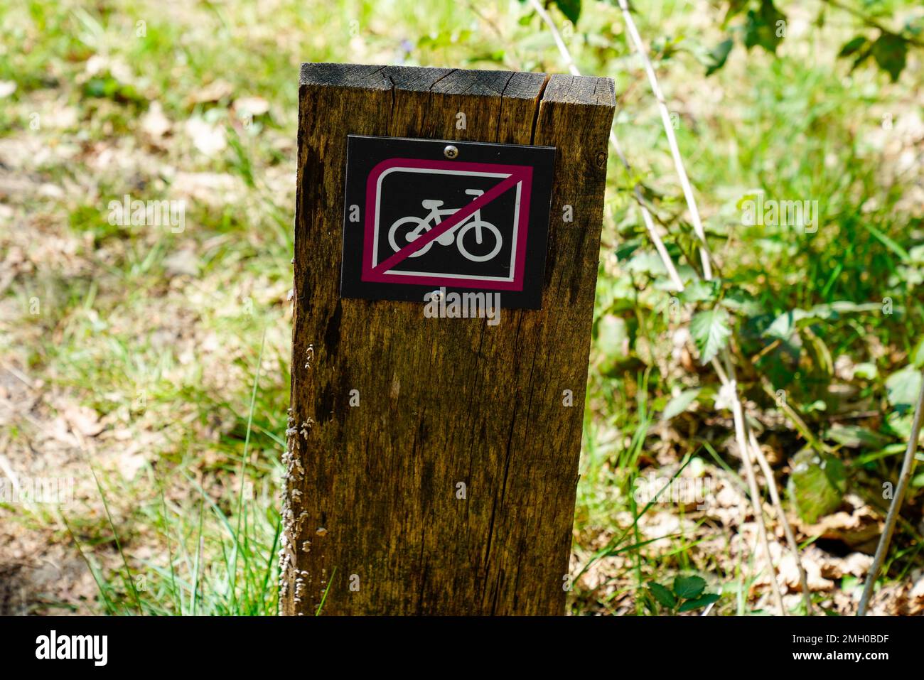road sign No Cycling on park forest path way sign indicating passage ...