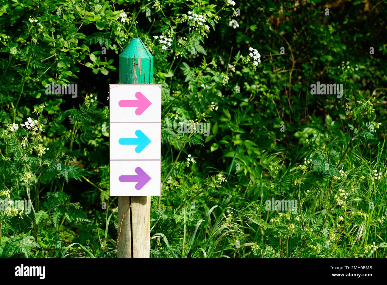 colored arrow markings for walking and hiking trails pathway in nature ...