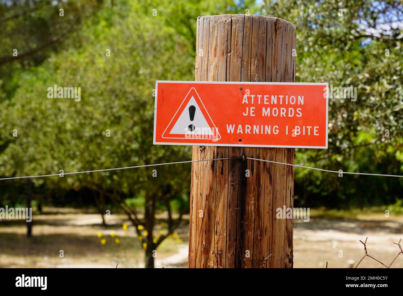 Be carful warning I bite sign text in english and french on wooden ...