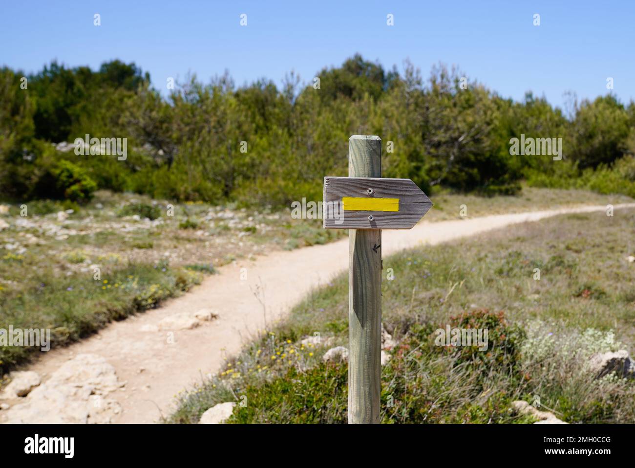 colored yellow markings for walking and hiking trails pathway in nature ...