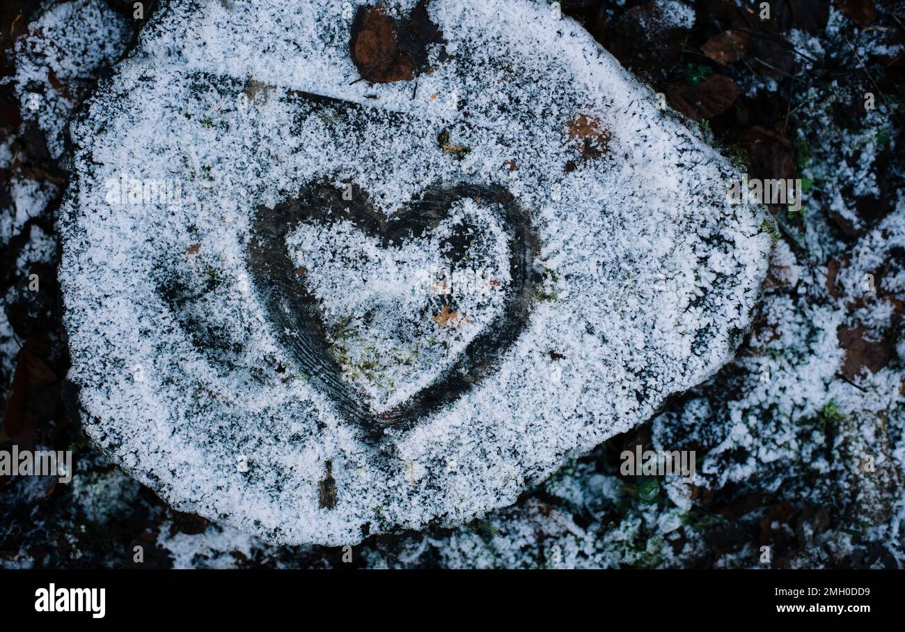 a love heart drawn into snow on a tree stump Stock Photo - Alamy