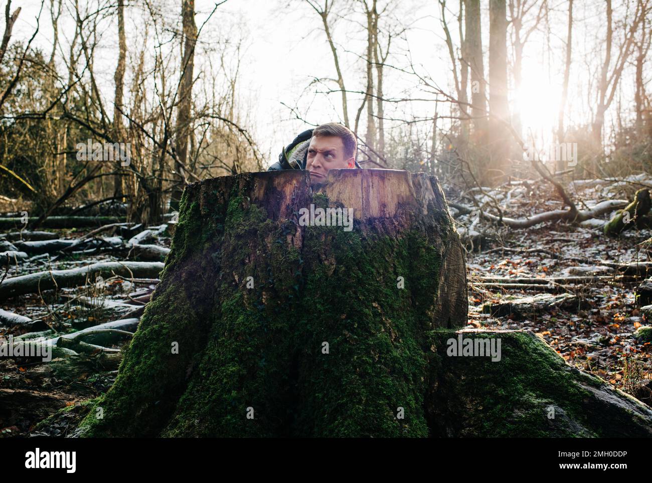 man playfully hiding behind a tree stump in the forest Stock Photo - Alamy