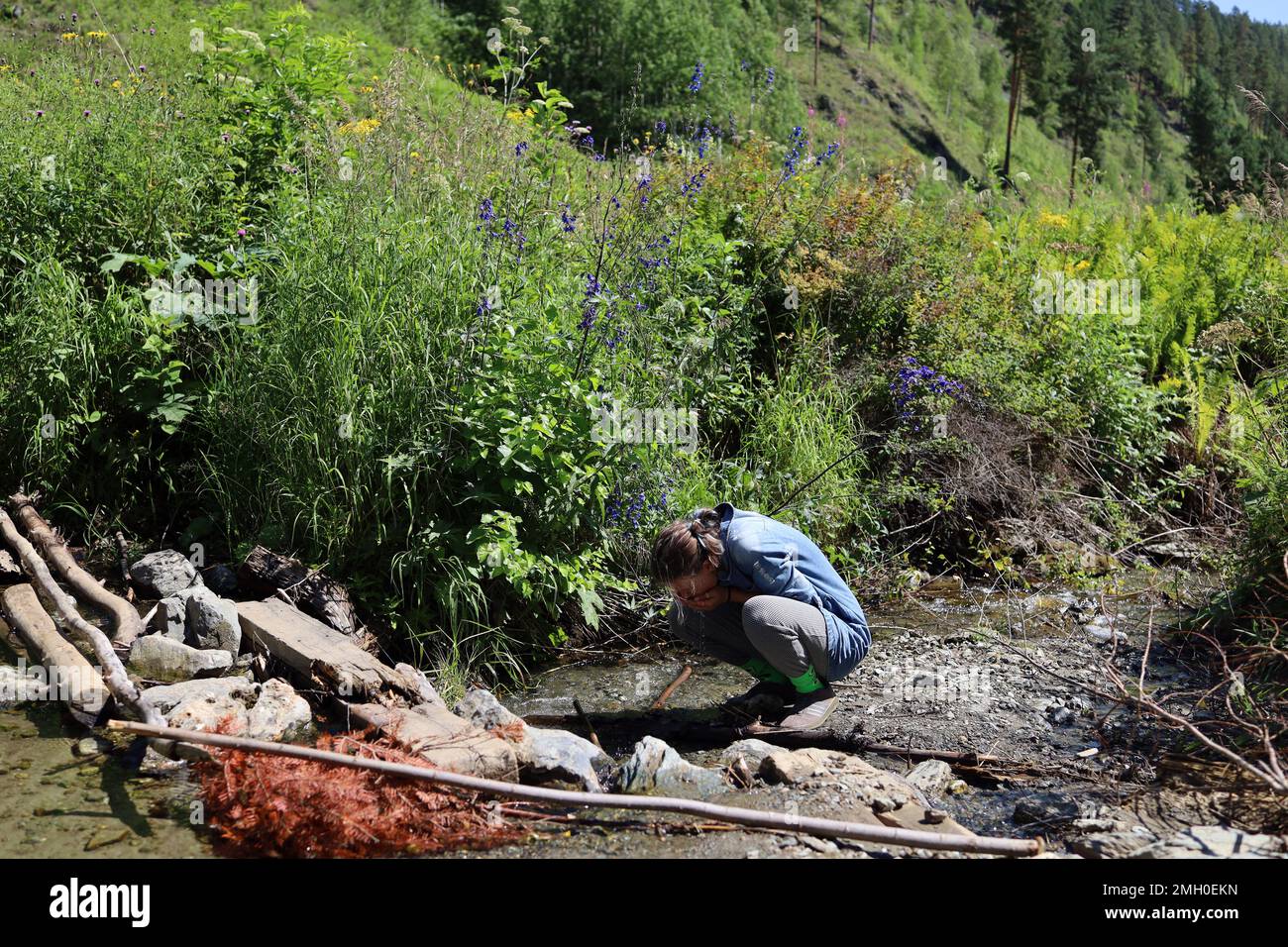 Stream one hi-res stock photography and images - Alamy