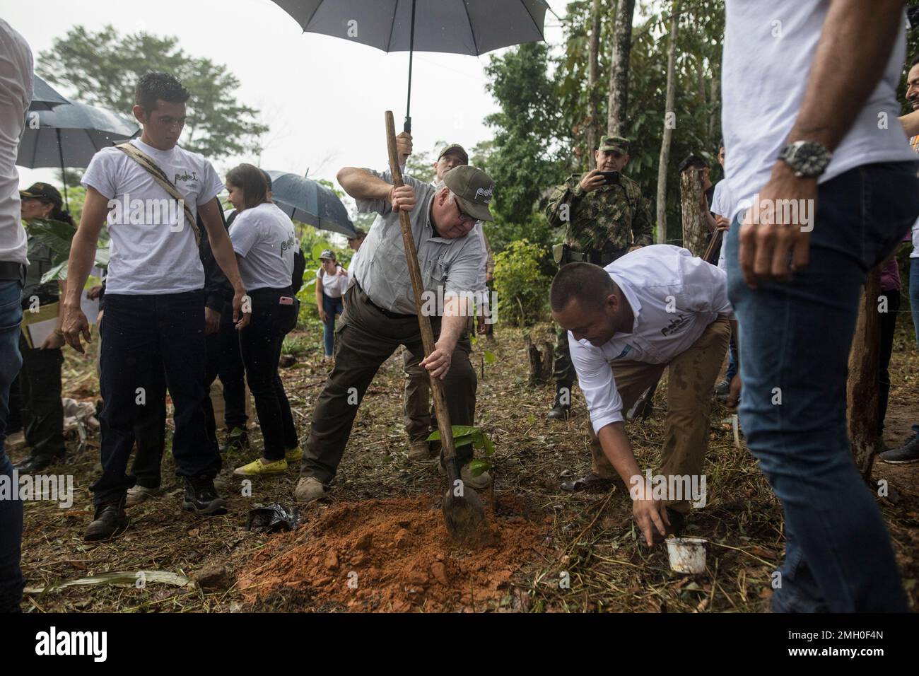 In this Jan. 29, 2020 photo, Howard Buffett plants cocoa plant at a ...