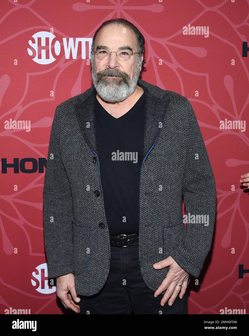 Actor Mandy Patinkin attends Showtime's "Homeland" eighth and final ...