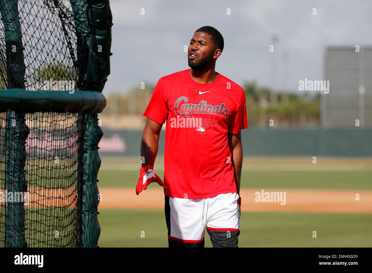 St. Louis Cardinals' Dexter Fowler takes batting practice during spring ...