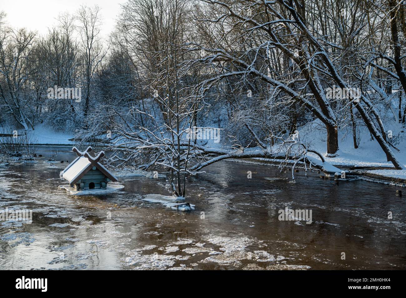 spring floods and ice melt in a small river, waterfowl feeder flooded ...