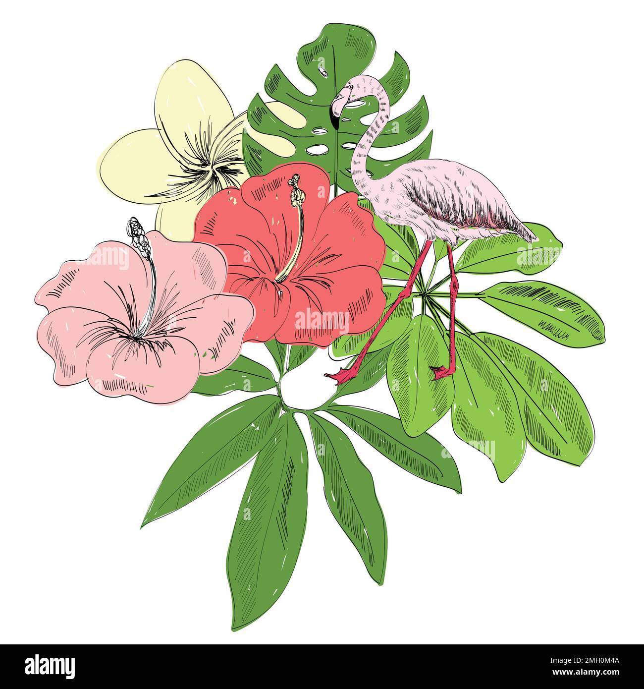 Tropical vector illustration Stock Vector Image & Art - Alamy