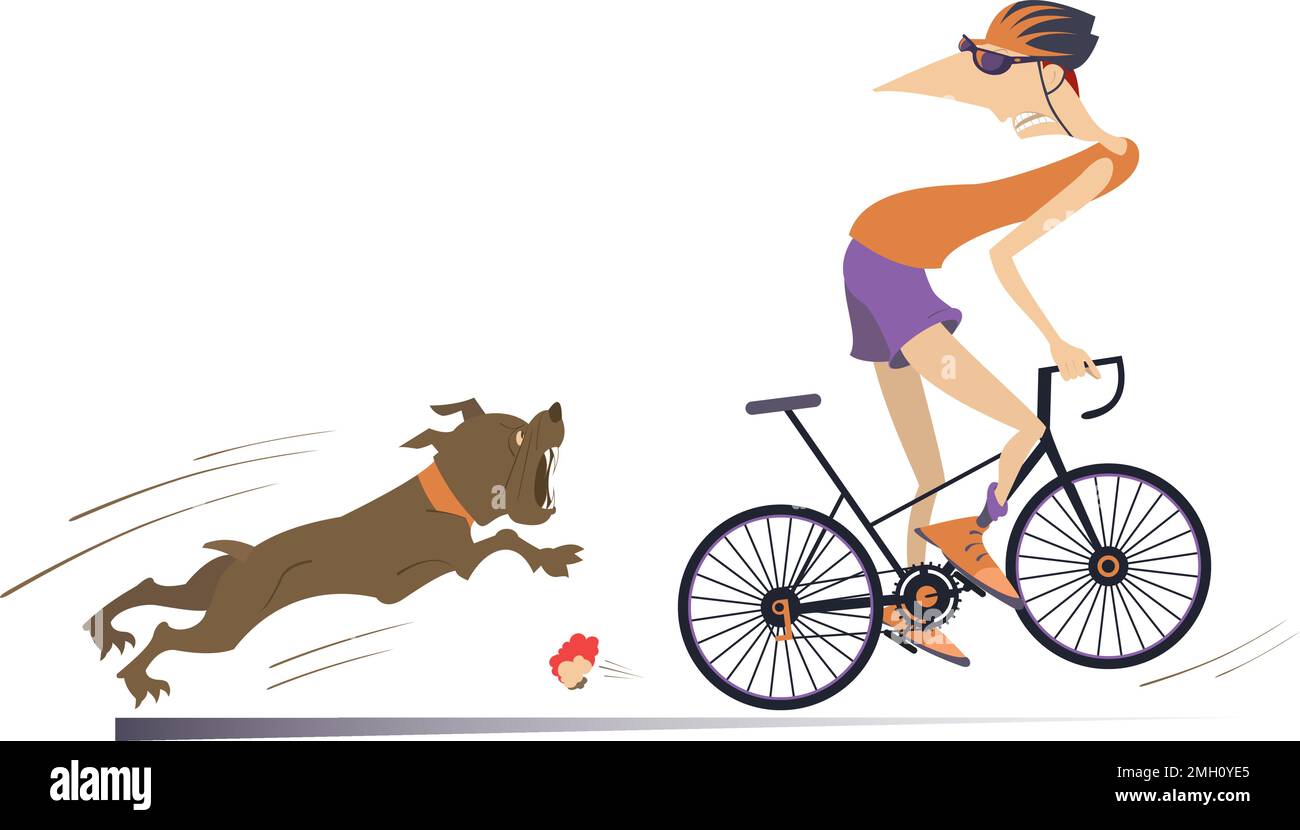 Angry dog and cyclist man illustration. Frightened cyclist escapes from ...