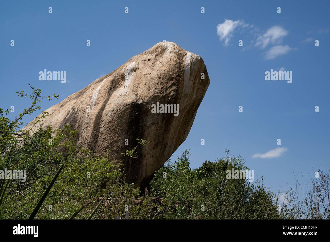 A gigantic rock, towering over trees and vegetation in the african ...