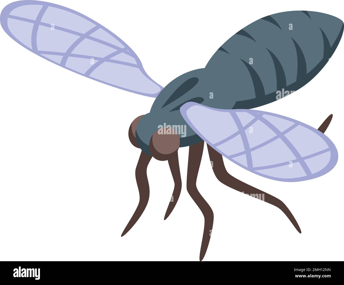 Pest insect icon isometric vector.Mosquito bug. Fly bug Stock Vector ...