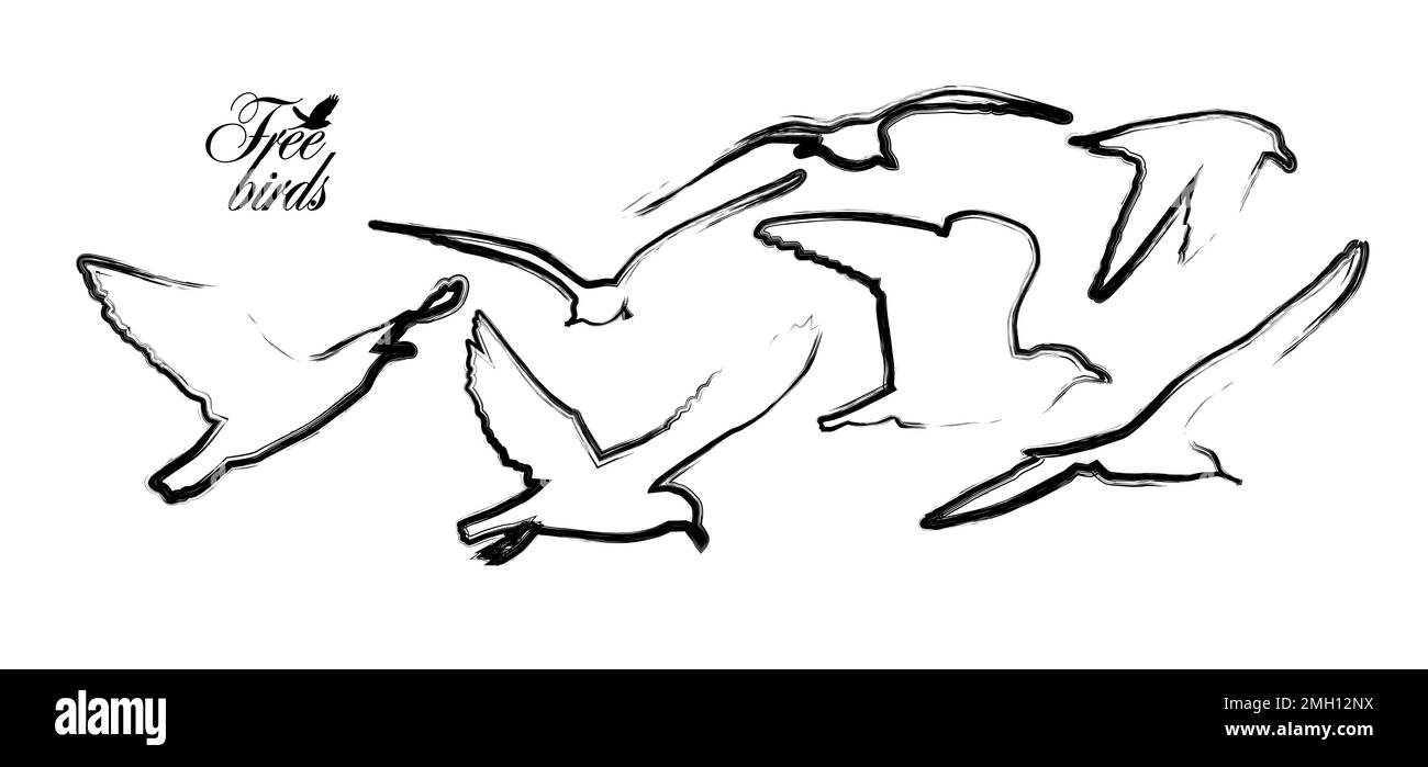 Seagulls silhouette. Flying seagulls. Vector illustration Stock Vector ...