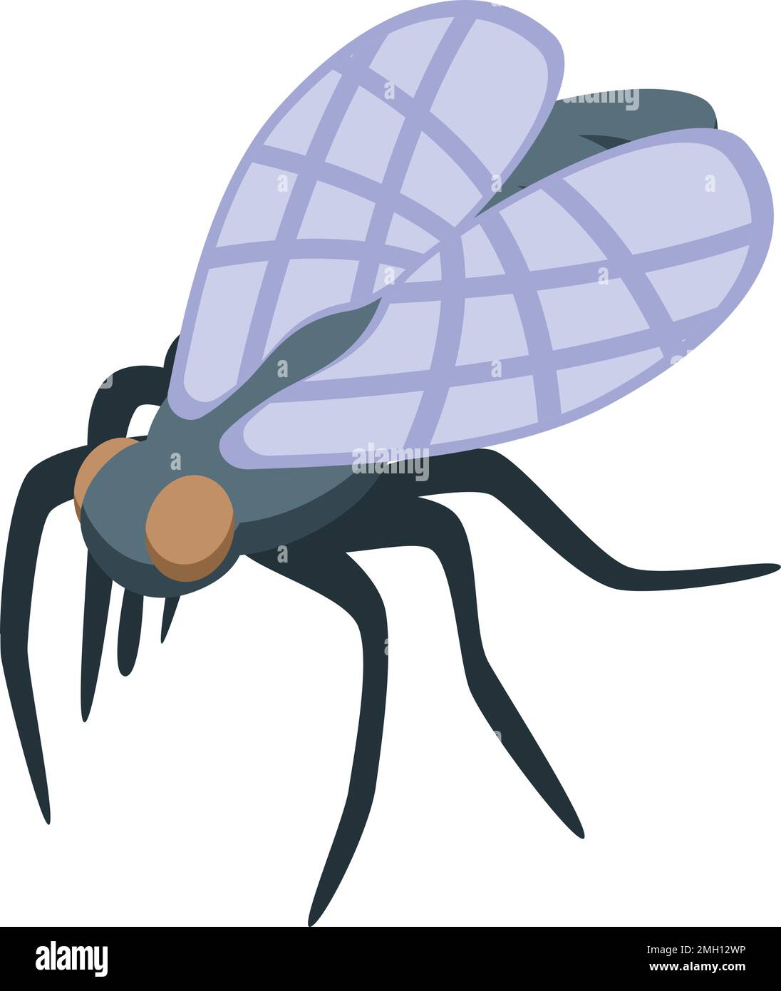 Ancient insect biology Stock Vector Images - Alamy