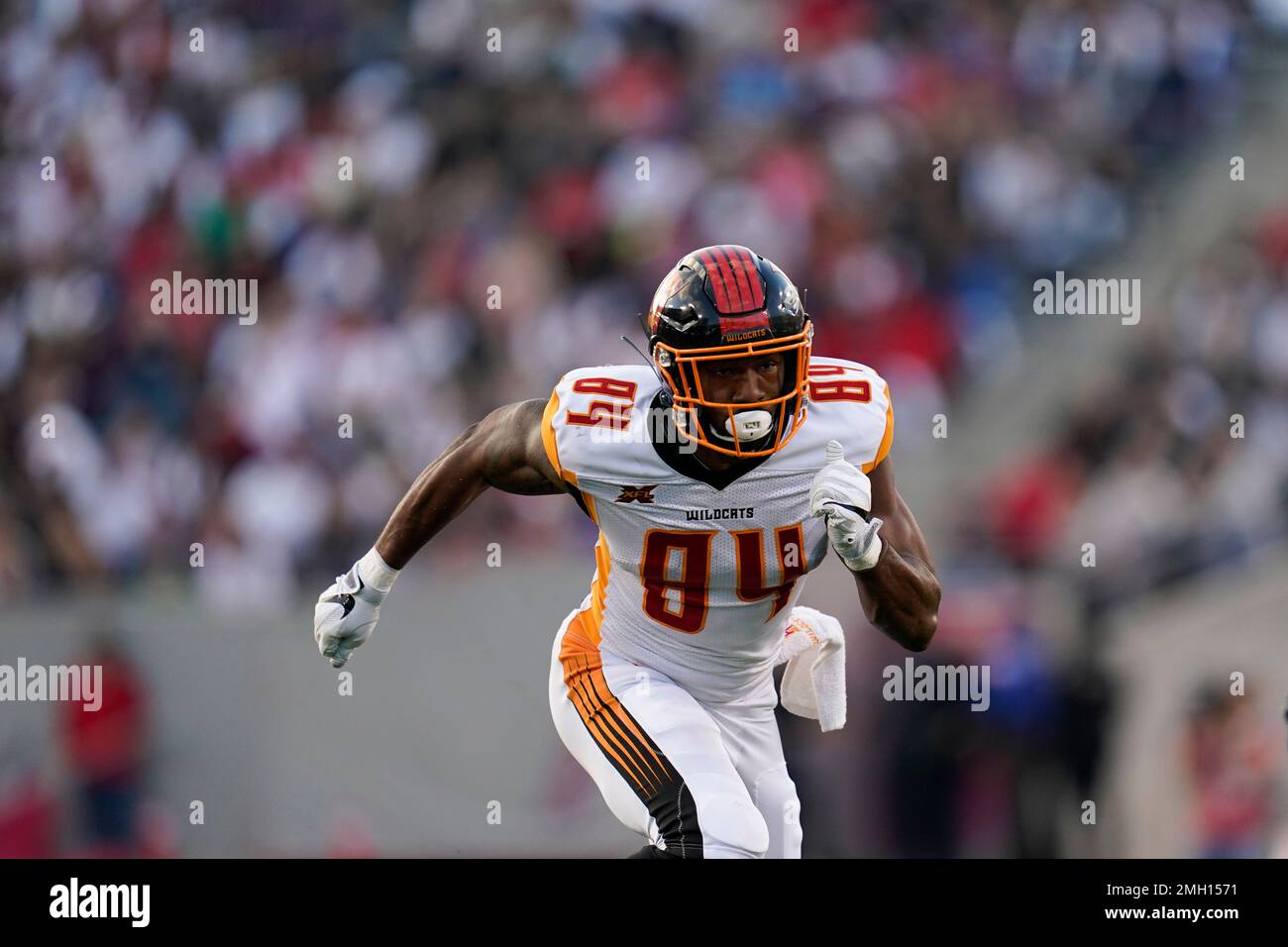Los Angeles Wildcats wide receiver Jordan Smallwood (84) runs a pass ...