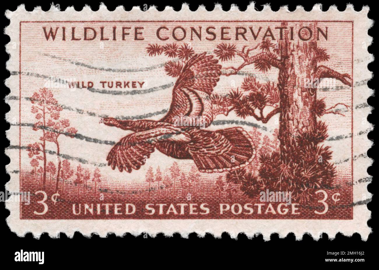 USA - CIRCA 1956: A Stamp printed in USA shows the Wild Turkey ...