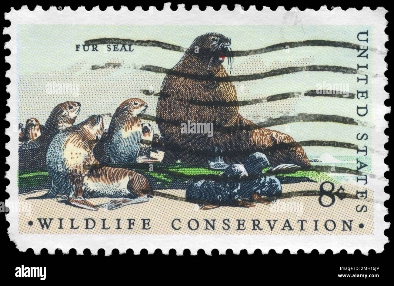 USA - CIRCA 1972: A Stamp printed in USA shows the Fur Seals, Wildlife ...