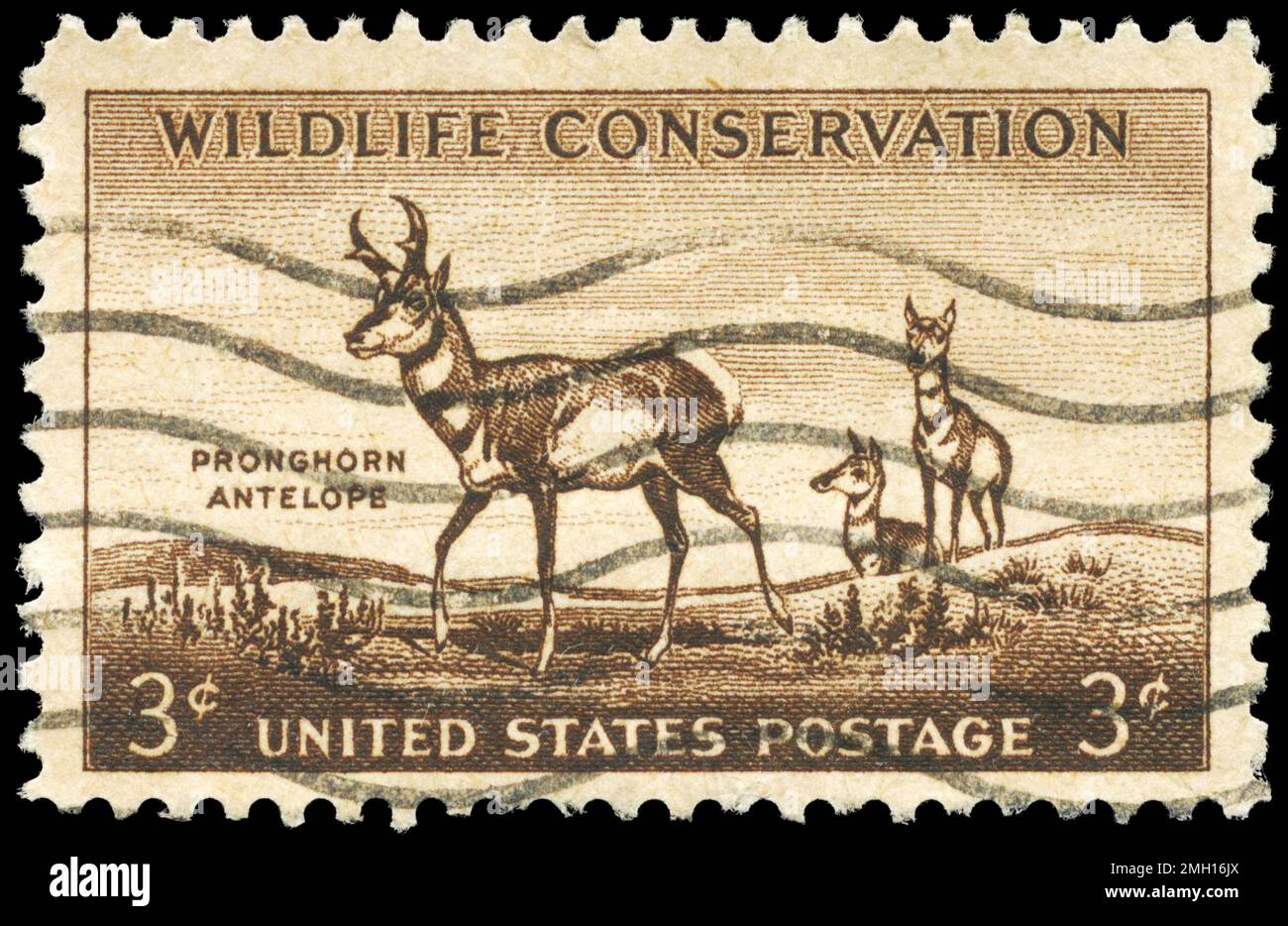 USA - CIRCA 1956: A Stamp printed in USA shows the Pronghorn Antelope ...