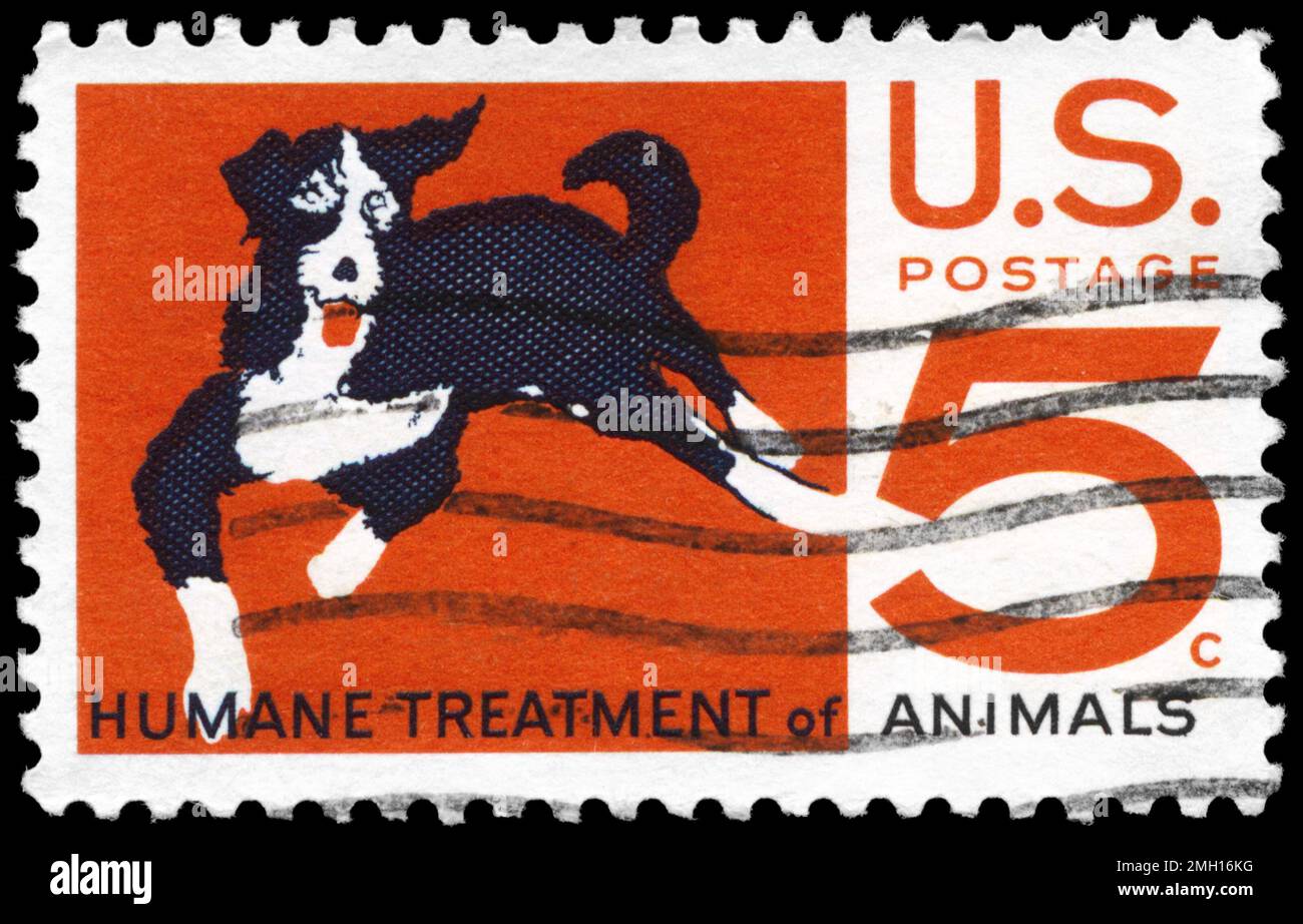 USA - CIRCA 1966: A Stamp printed in USA shows the Mongrel, Humane ...