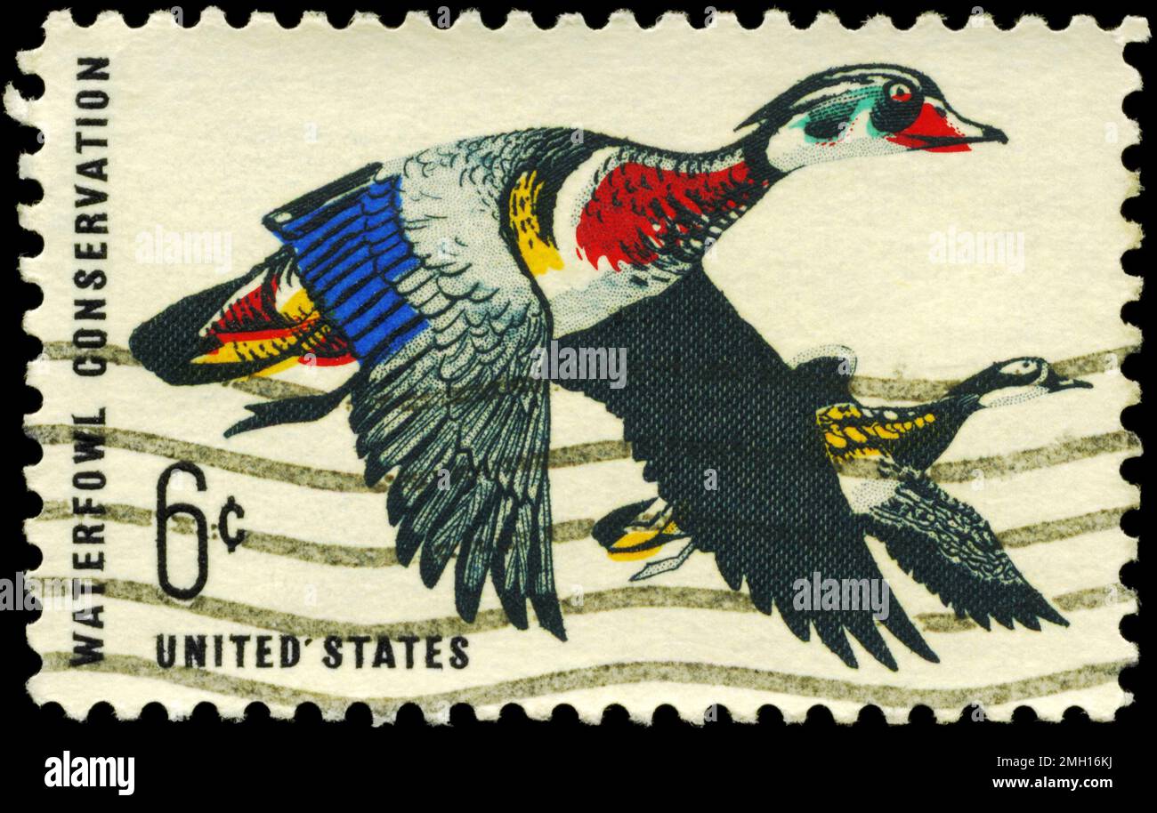 USA - CIRCA 1968: A Stamp printed in USA shows the Wood Ducks ...