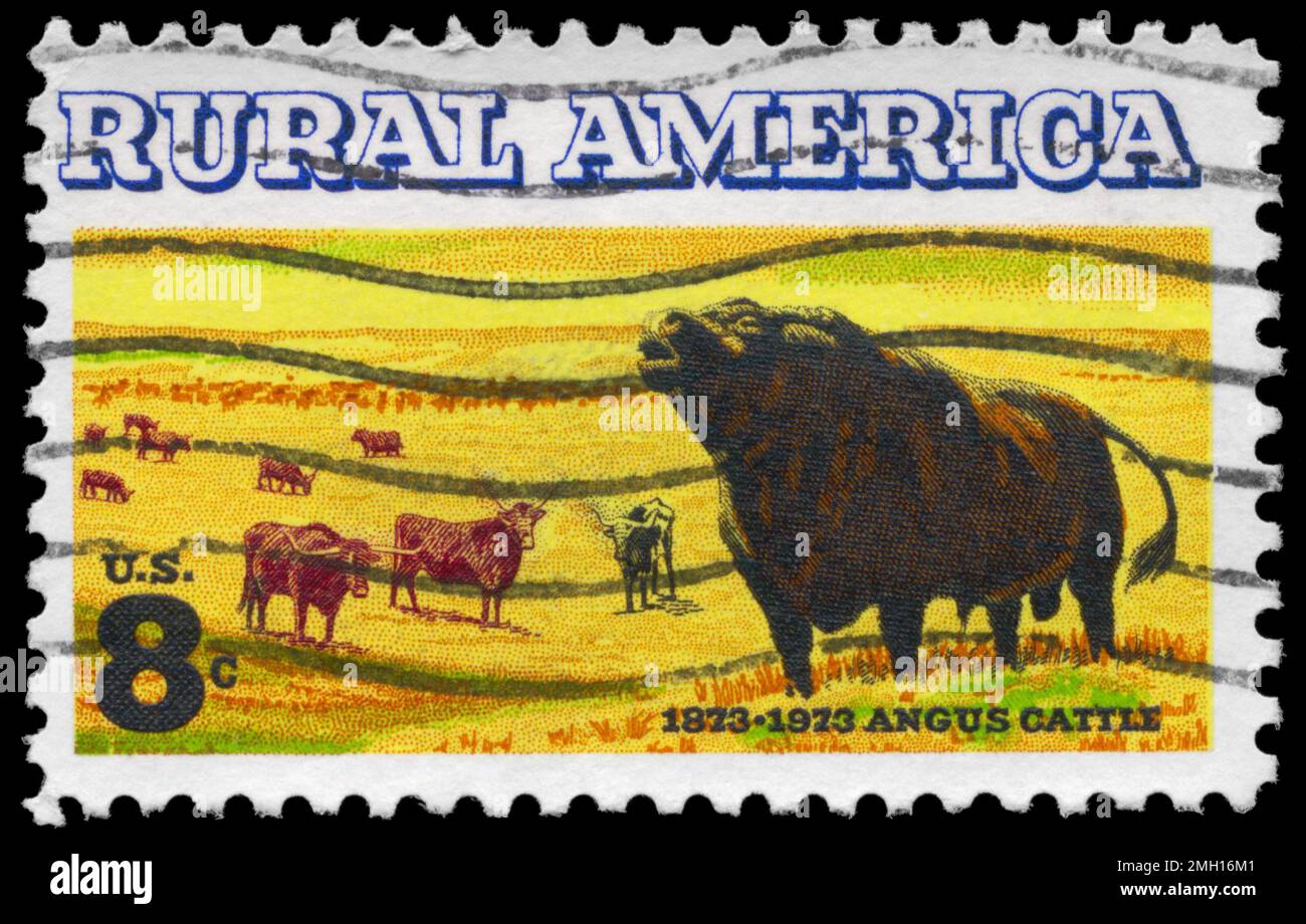 USA - CIRCA 1973: A Stamp printed in USA shows the Angus and Longhorn ...