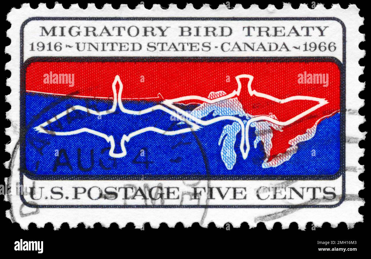 USA - CIRCA 1966: A Stamp printed in USA shows the Migratory Birds over ...