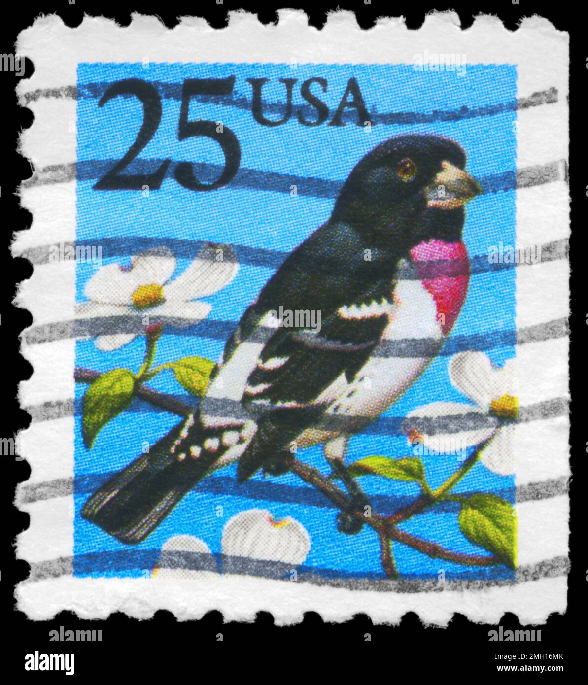USA - CIRCA 1988: A Stamp printed in USA shows the Grosbeak, Booklet ...