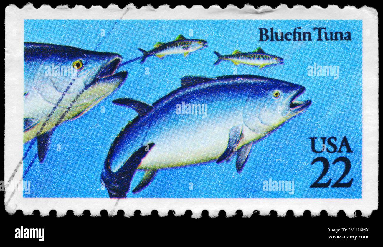 USA - CIRCA 1986: A Stamp printed in USA shows the Bluefin Tuna, Fish ...