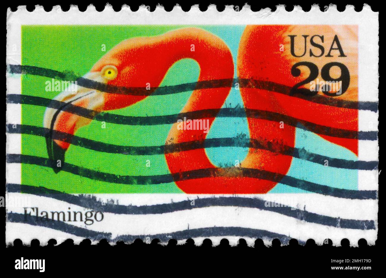 USA - CIRCA 1992: A Stamp printed in USA shows the Flamingo, Wild ...