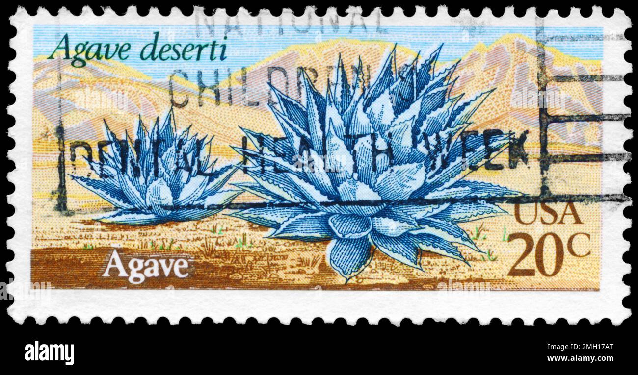 USA - CIRCA 1981: A Stamp printed in USA shows the Agave, Desert Plants ...