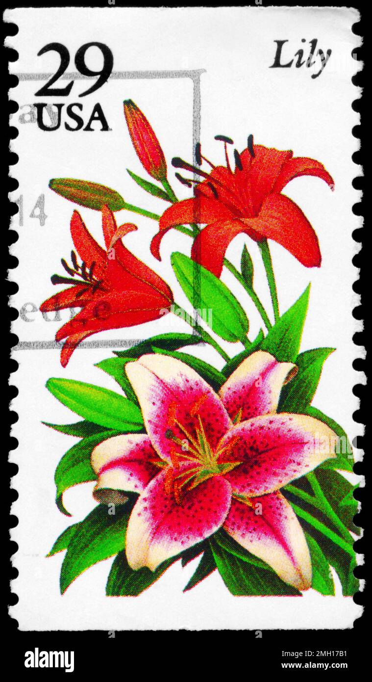USA - CIRCA 1994: A Stamp printed in USA shows the Lily, Garden Flowers ...