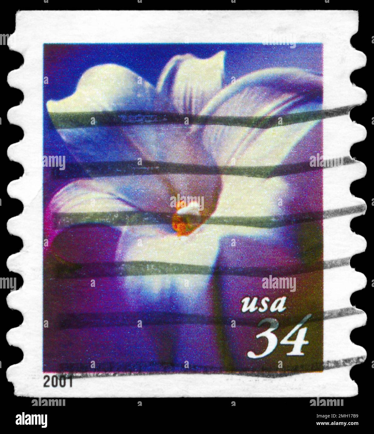 USA - CIRCA 2000: A Stamp printed in USA shows the Lily, series, circa ...