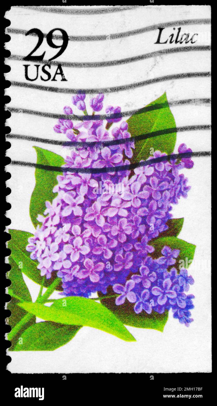 USA - CIRCA 1993: A Stamp printed in USA shows the Lilac, Garden ...
