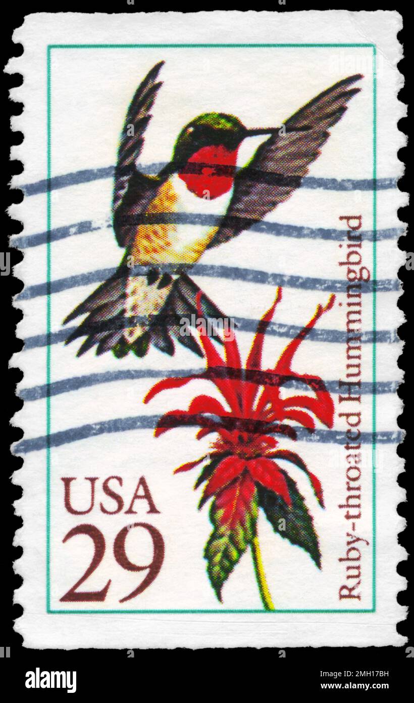 USA - CIRCA 1992: A Stamp printed in USA shows the Ruby-throated ...