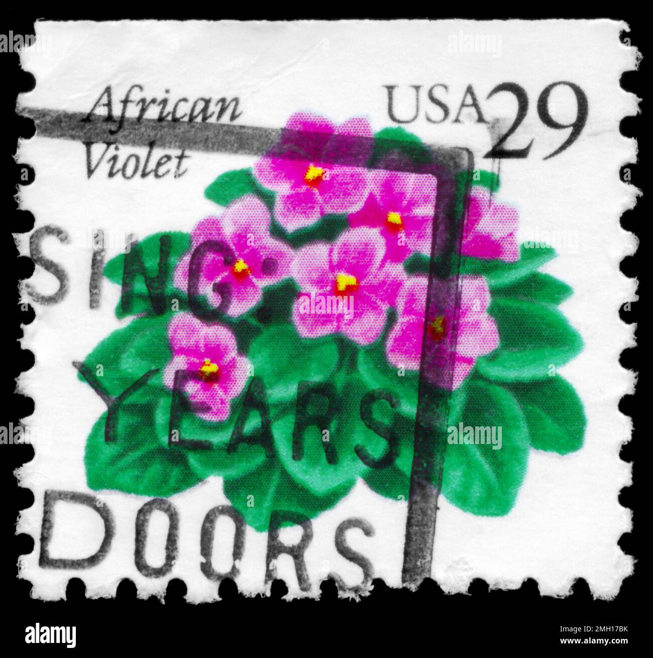 USA - CIRCA 1990: A Stamp printed in USA shows the African Violets ...